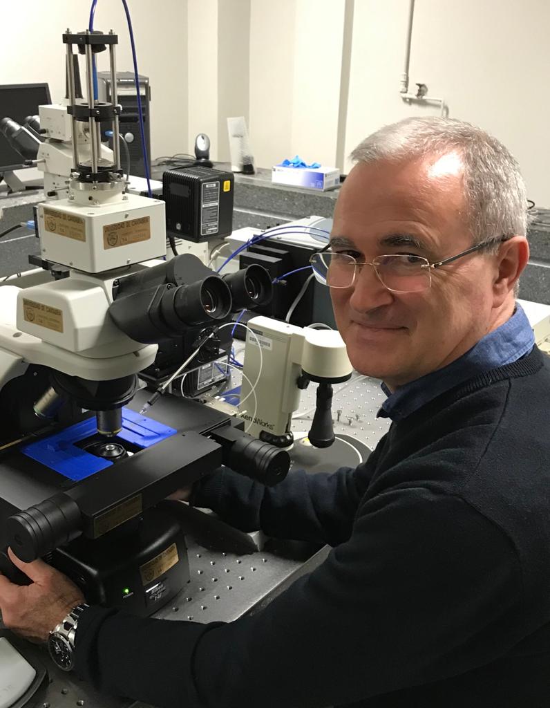 Bio-Óptica, donde la luz y la vida se encuentran - FOTOGLASS ...